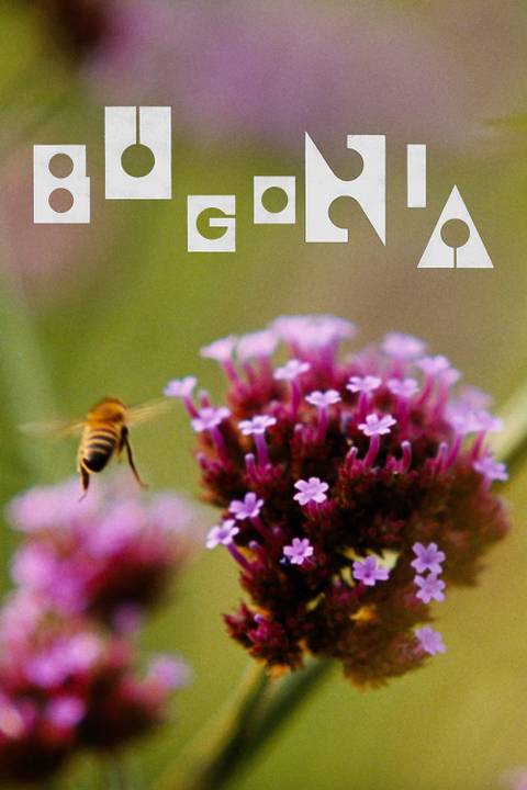 Bugonia Summary, Trailer, Cast, Where to Watch and More