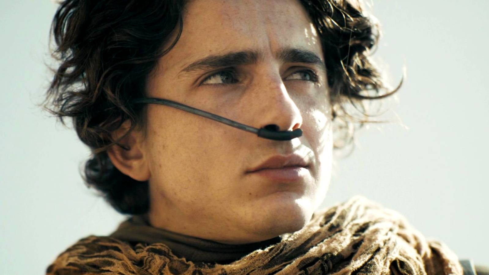 Timothée Chalamet's New Shaved Head: A Bold Look For Dune 3?