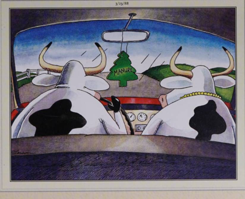 10 Overlooked Far Side Comics Revealing Gary Larson's Secret to Success
