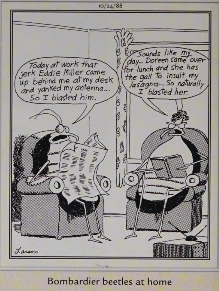 10 Underrated Far Side Quotes Showcasing Gary Larson's Dialogue