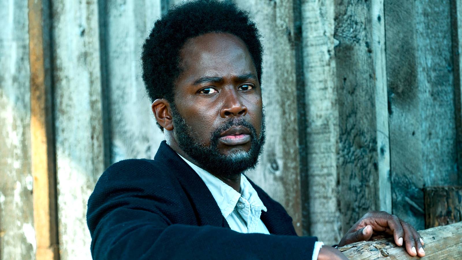 From Season 4's Release Window Harms Its Narrative Momentum
