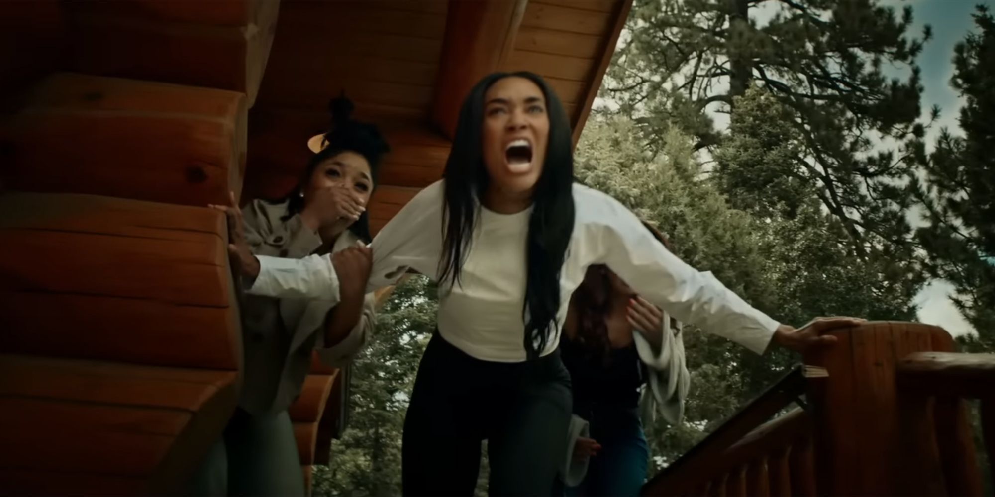 Run Summary, Trailer, Cast, Where to Watch and More