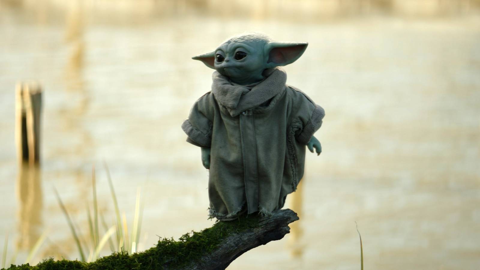 Grogu Officially Named 'Baby Yoda' in New Miniseries