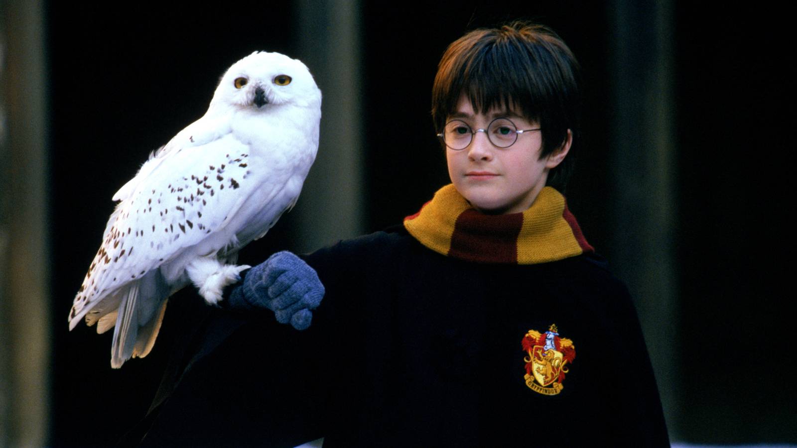 HBO's Harry Potter TV Show: Early Appearances of Key Characters