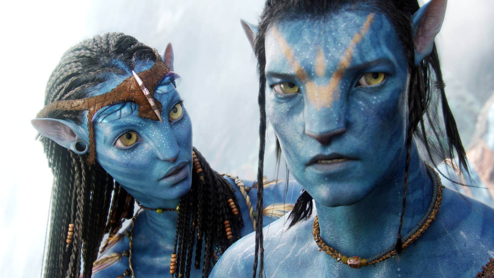 Zoe Saldaña Advocates For Avatar Documentary By James Cameron