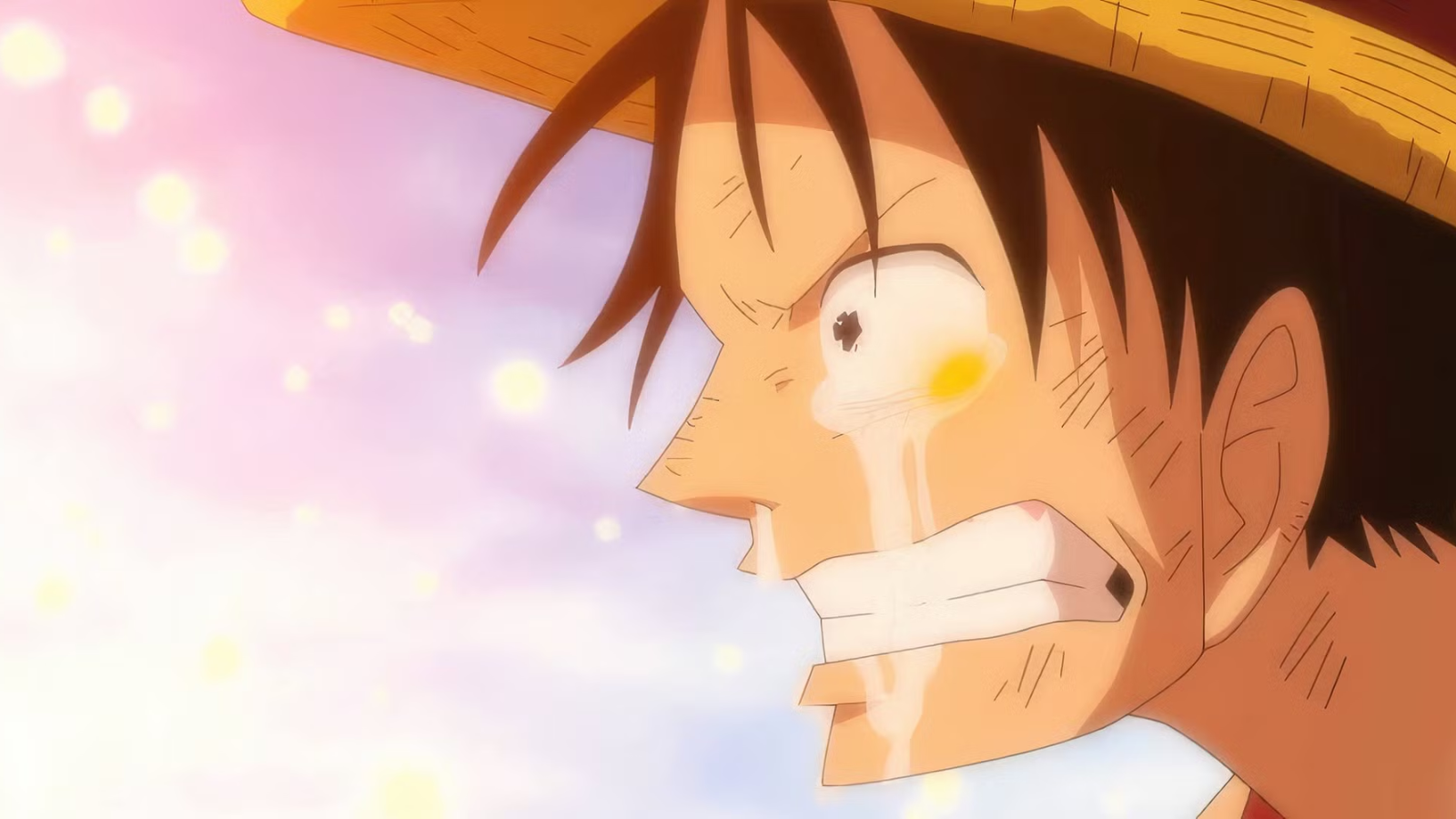One Piece Movies, TV Specials to Leave Netflix in September 2025