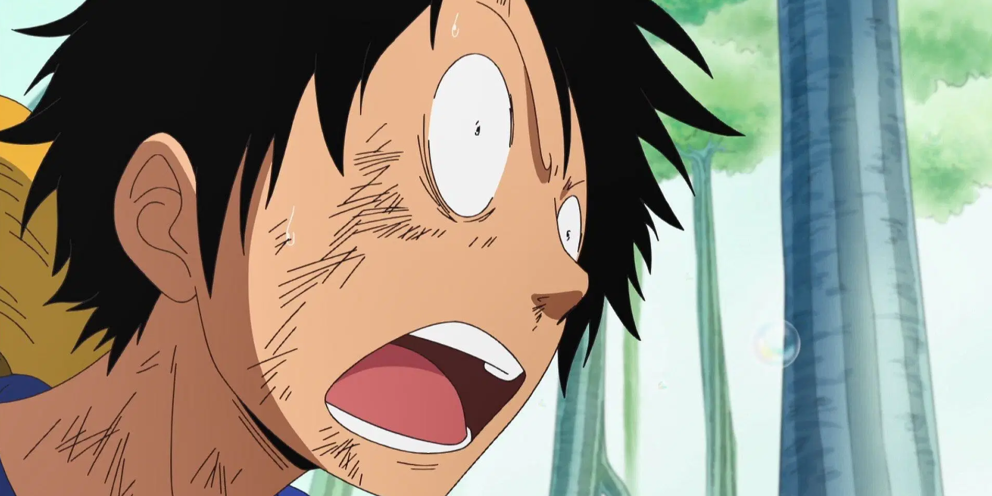 One Piece's Timeskip Turned Chopper Into His Own Worst Nightmare