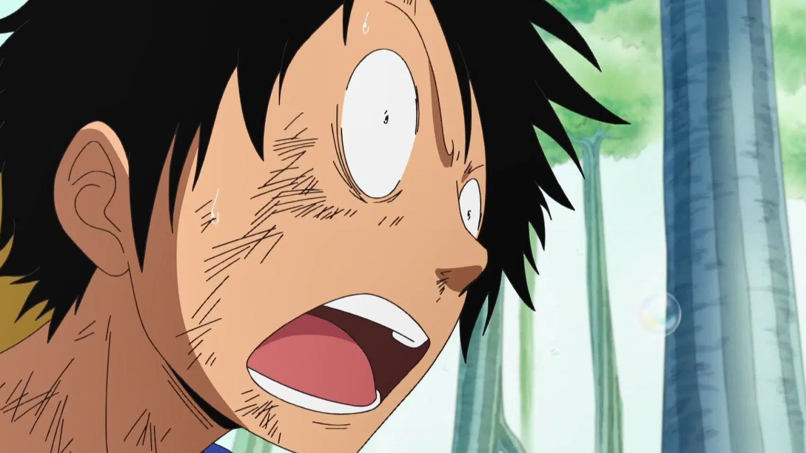 One Piece's Timeskip Turned Chopper Into His Own Worst Nightmare