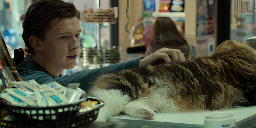 Spider-Man: Brand New Day Set Photos Tease Return of Iconic Homecoming ...