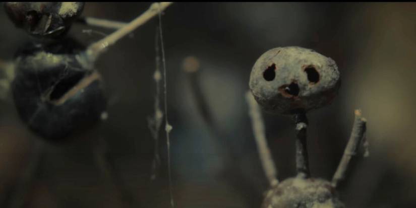 The Chestnut Man Is 10/10, And You Can Stream It On Netflix
