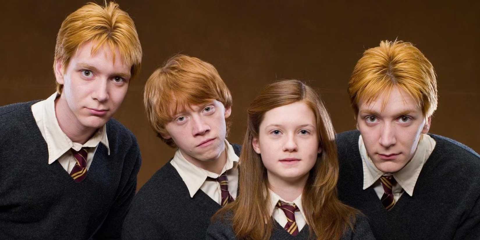 Harry Potter Remake Casts Fred and George Weasley: A Heartbreaking Reality