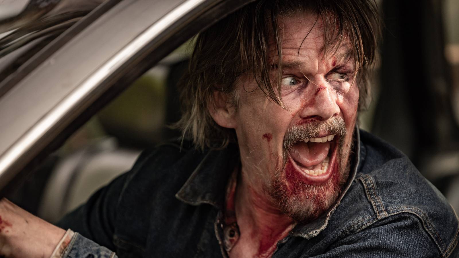 Ethan Hawke's The Lowdown Earns Near-Perfect Rotten Tomatoes Score