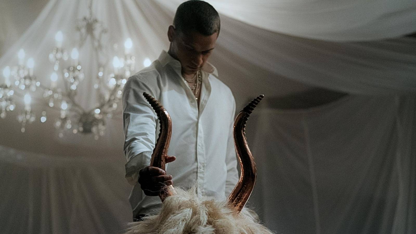 Exploring the Rare Genre of Sports Horror Movies Like Him