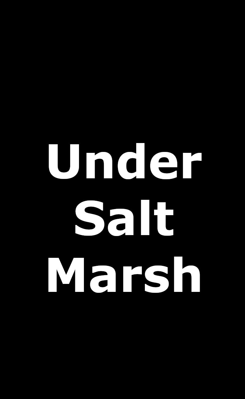 Under Salt Marsh Summary, Trailer, Season List, Cast, Where to Watch ...