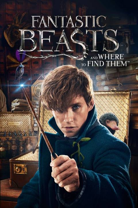 Is Newt Scamander Autistic In Fantastic Beasts? Eddie Redmayne Shares ...