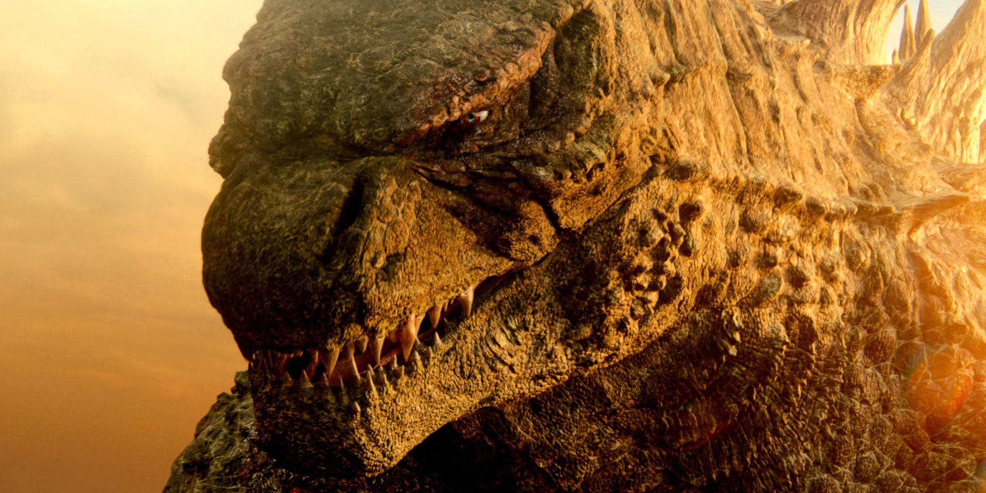 Every Microsoft Windows Release In Chronological Order