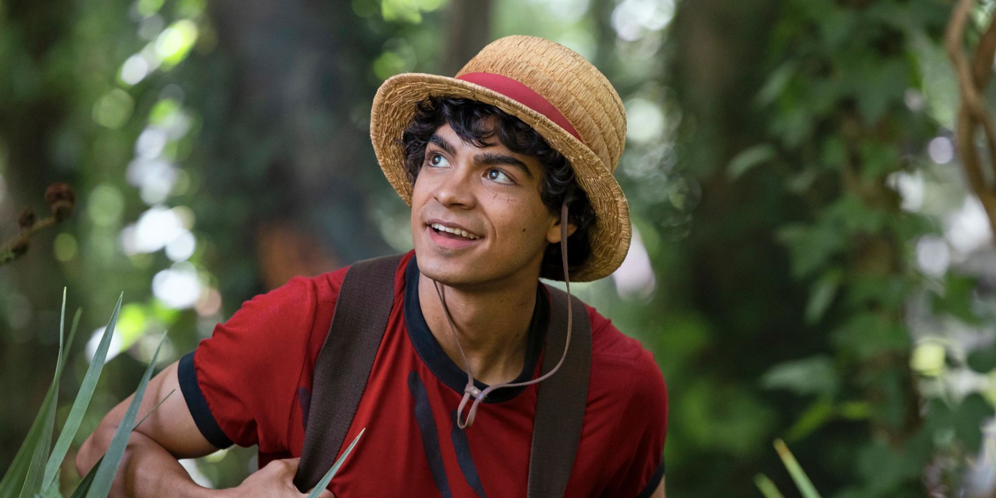 One Piece’s Grand Line Ocean Explained: Where It Is & What Luffy Finds