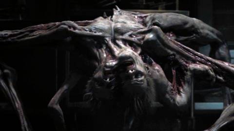 The Thing Summary, Trailer, Cast, Where to Watch and More
