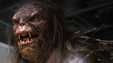 Fringe Summary, Trailer, Season List, Cast, Where to Watch and More