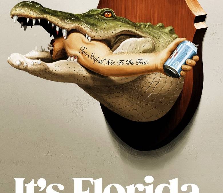 It's Florida, Man Summary, Trailer, Season List, Cast, Where to Watch ...