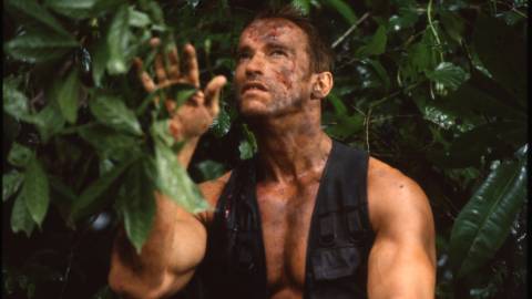 Predator Summary, Trailer, Cast, Where to Watch and More