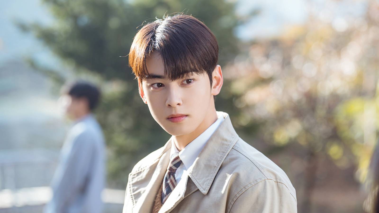 Cha Eun-woo's K-Drama Roles Ranked: From True Beauty to Island