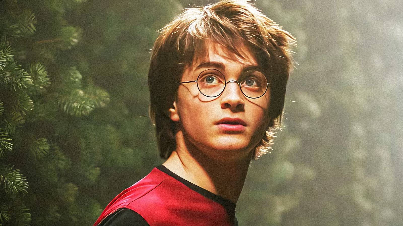 9 Overlooked Harry Potter Plotlines That Deserve Attention