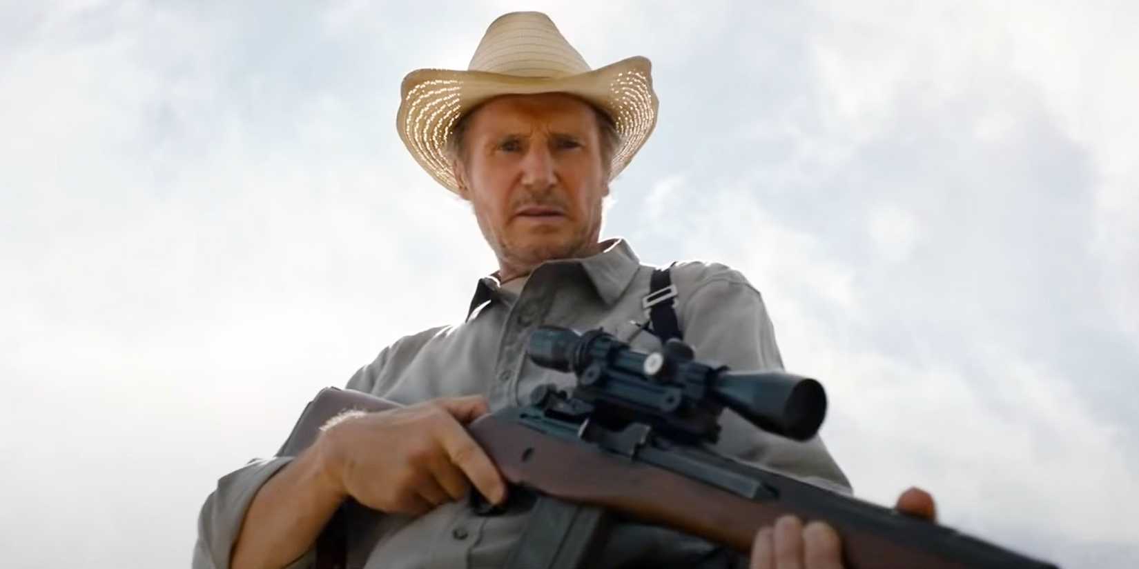 Liam Neeson's $23M Action Movie Dividing Critics & Audiences Becomes No ...