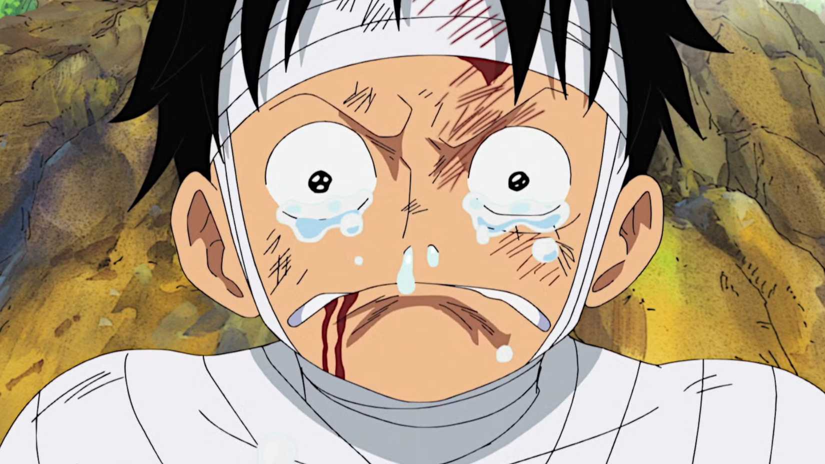 One Piece Anime Confirms Delay for November 2025