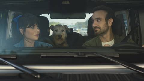 Merv Summary, Trailer, Cast, Where to Watch and More