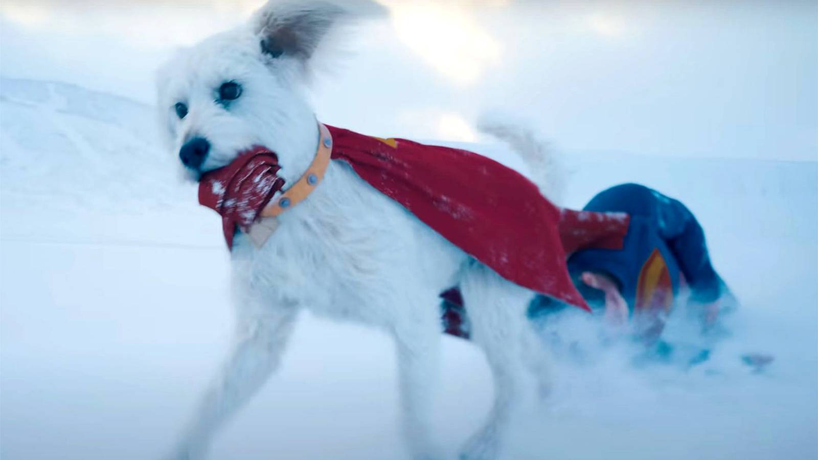 James Gunn Explains How Krypto's Supergirl Return Is Different From His ...