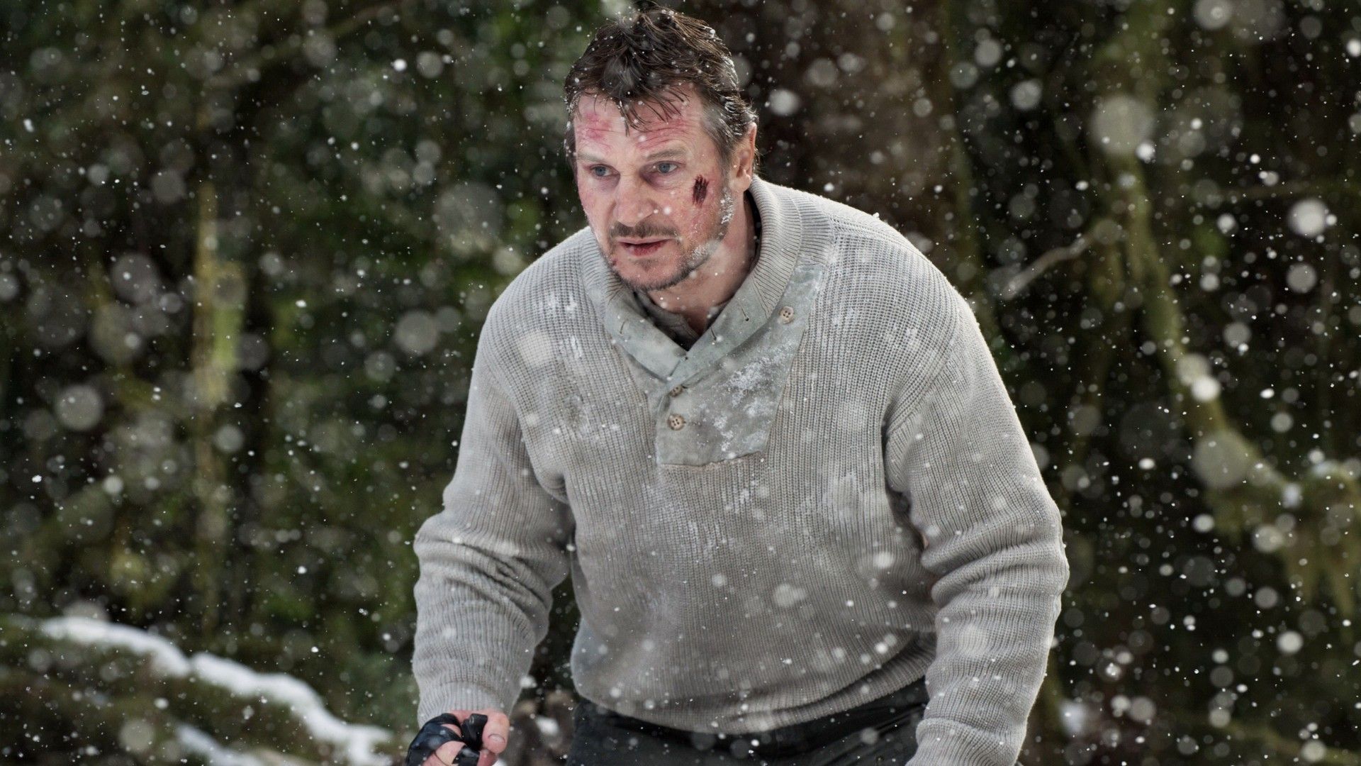 5 Best Liam Neeson Movies Streaming On Prime Video