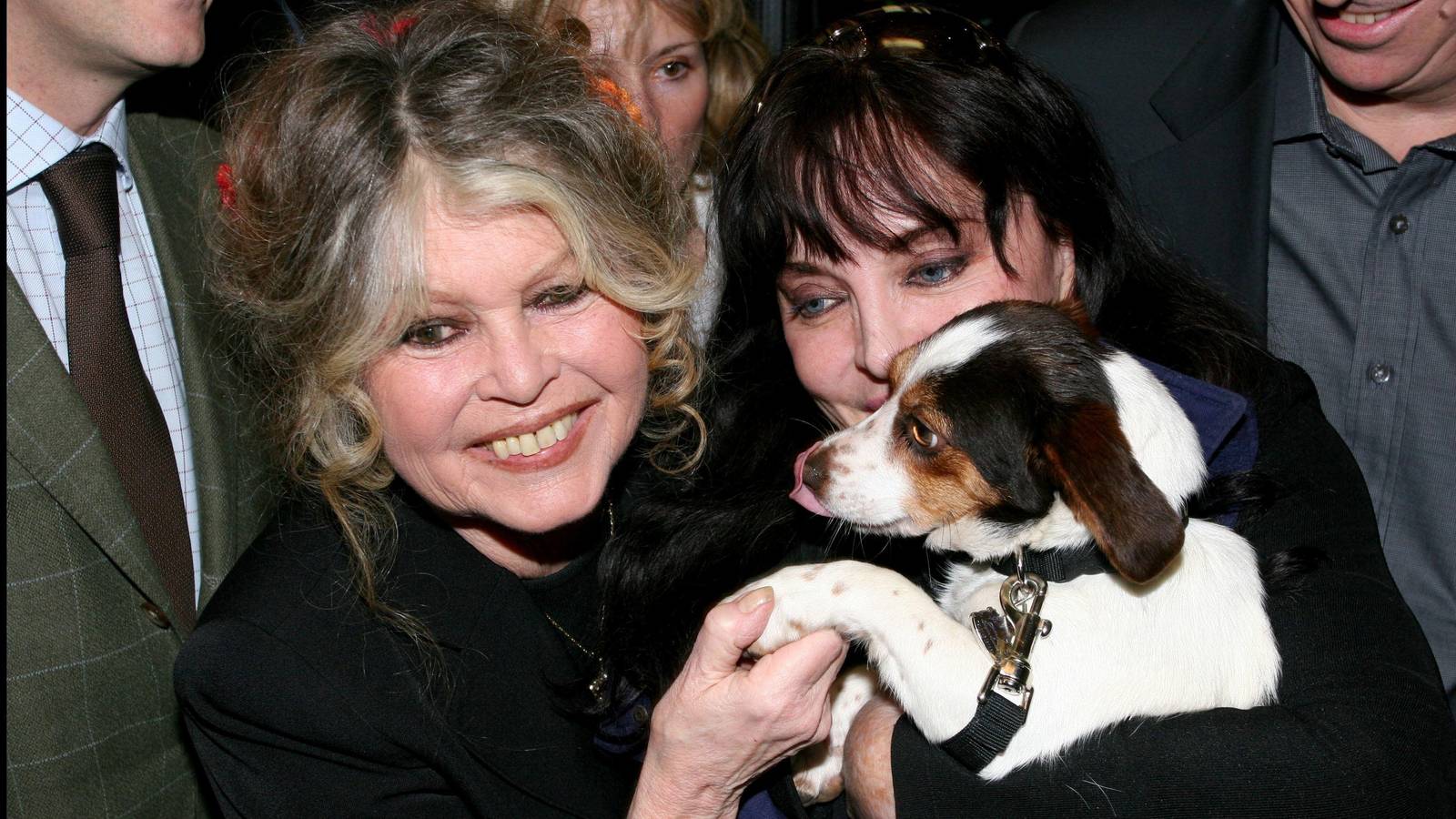 Brigitte Bardot’s Cause Of Death Confirmed After Husband Reveals New ...