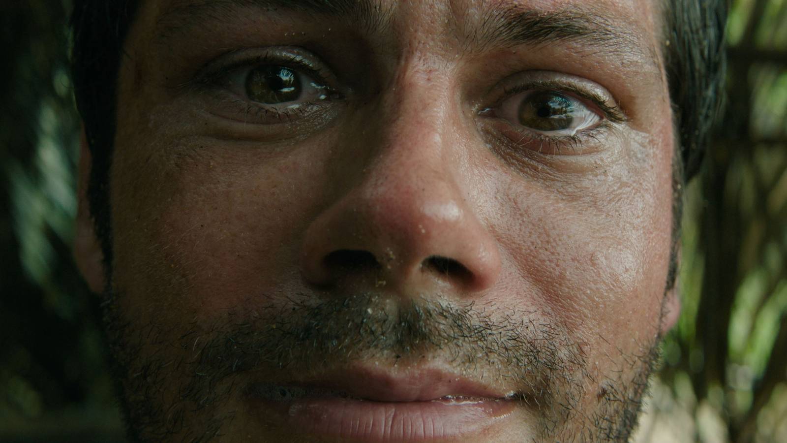 New R-Rated Horror Movie From A Genre Master With 92% RT Score Is A ...