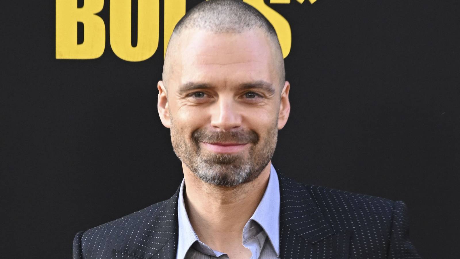 5 DC Characters Sebastian Stan Could Play In The Batman 2, Ranked From ...