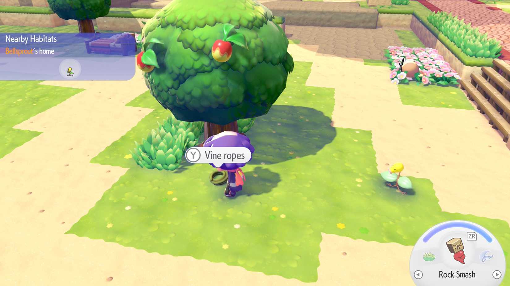 Pokèmon Pokopia: How To Get Vine Rope