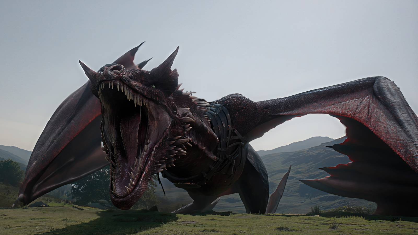 Harry Potter And House Of The Dragon Will Compete For The Title Of 2026 ...
