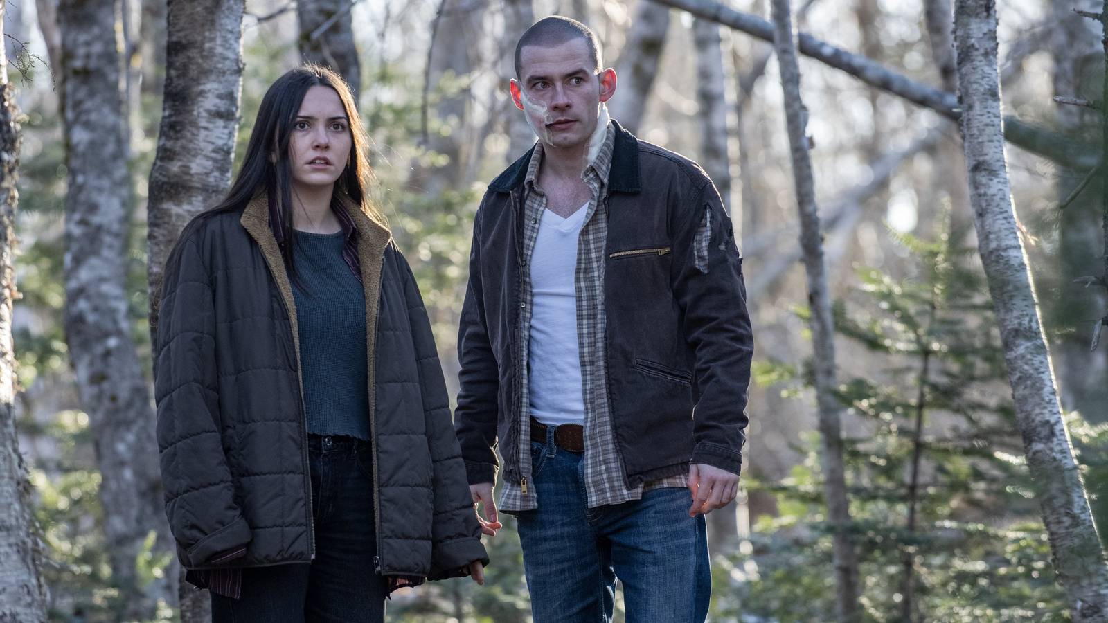 MGM+'s From Season 4 Debuts With Rare Rotten Tomatoes Score Ahead of ...