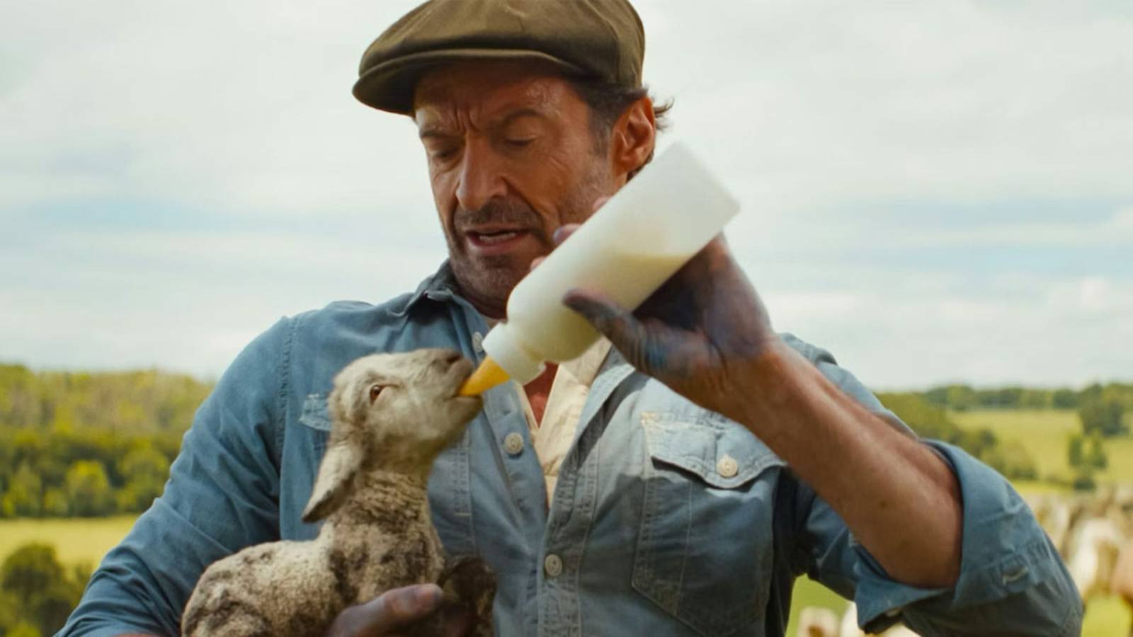 Hugh Jackman S Sheep Detective 2 Is Unlikely To Happen According To