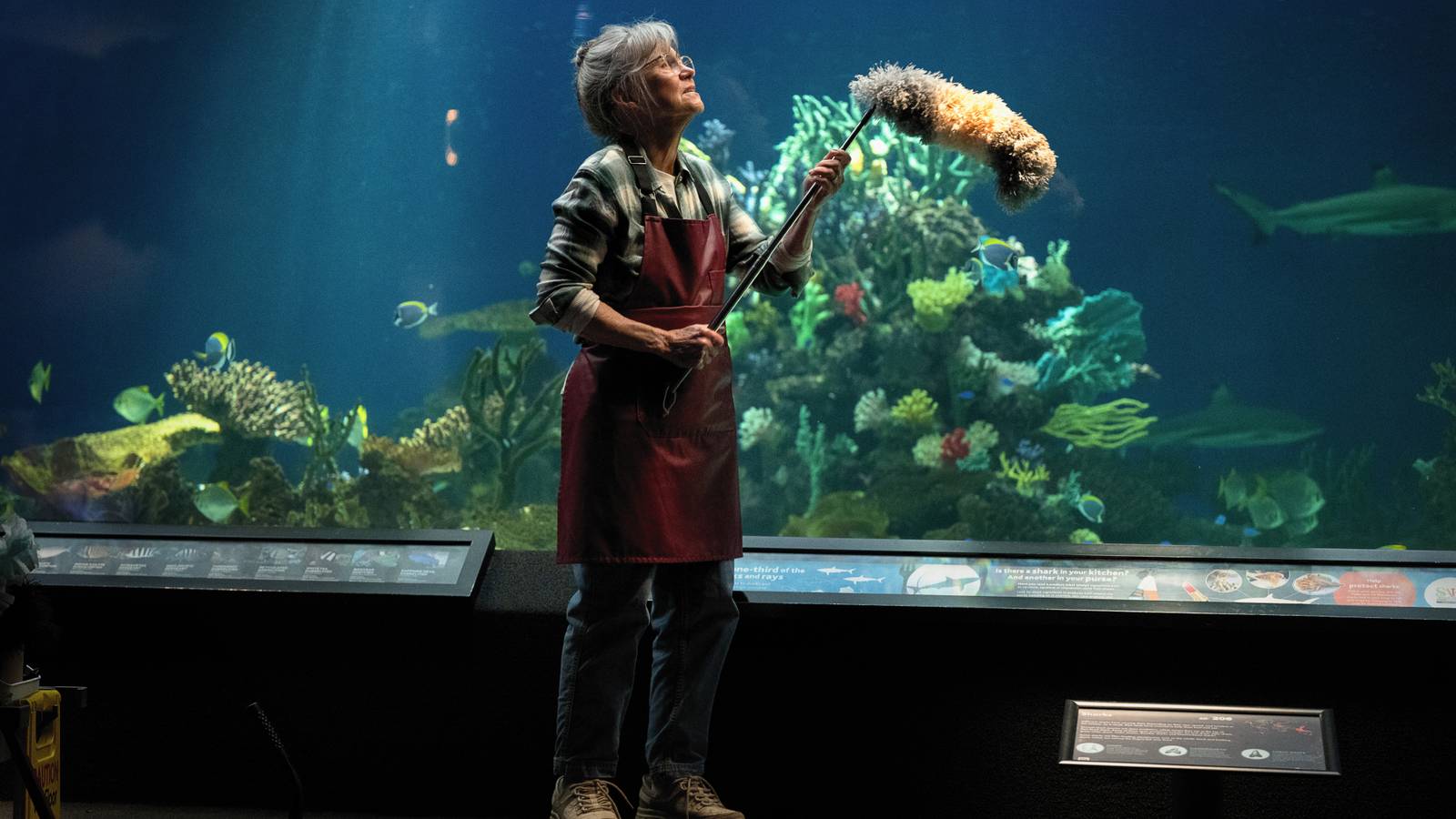 Remarkably Bright Creatures Cast: These A-List Actors Make A Splash In ...