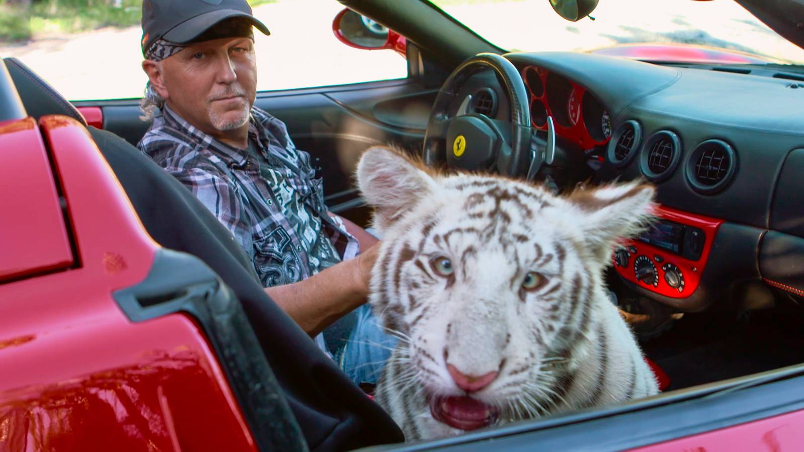 10 Near-Perfect Documentaries Streaming On Netflix