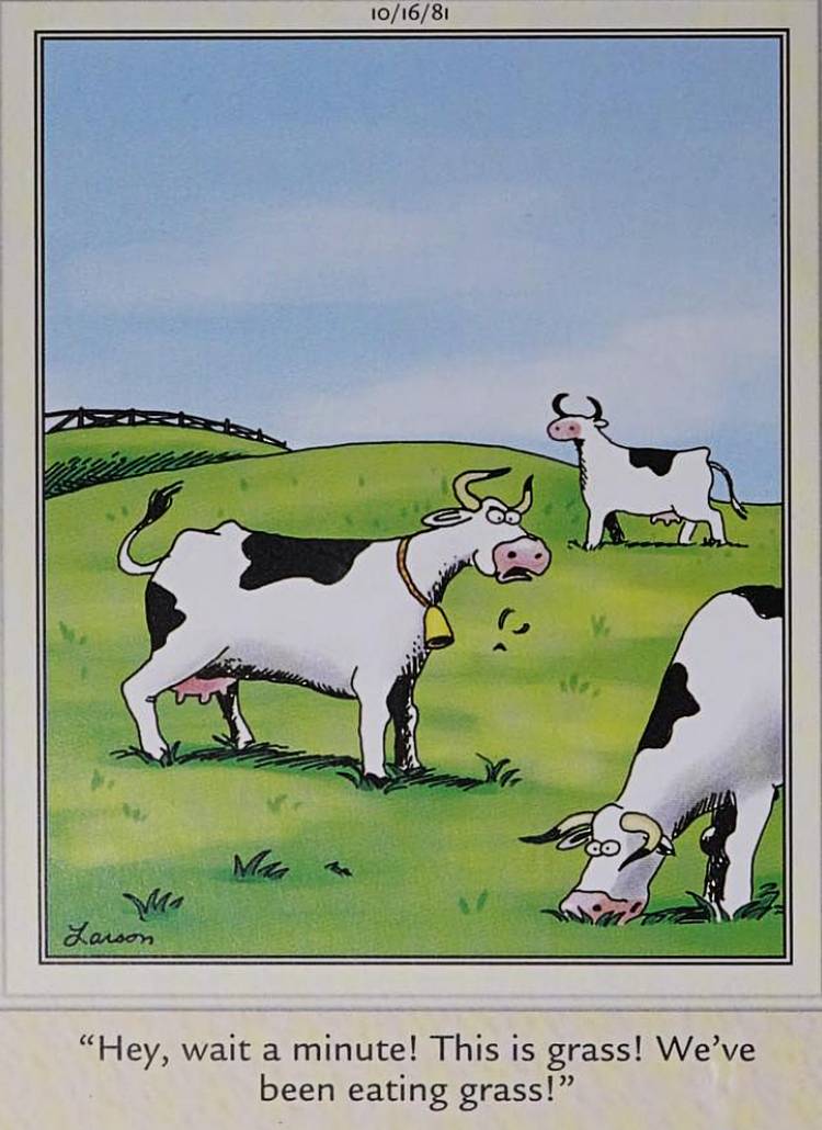 10 Forgotten Far Side Cow Comics