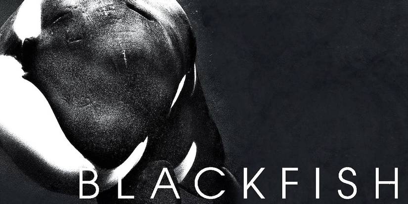 Blackfish vs. SeaWorld: How Documentaries Can Change the World