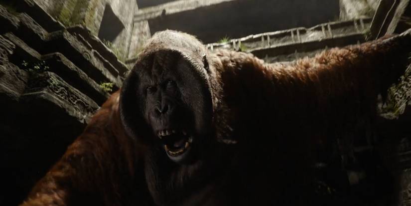 7 Terrifying Movie Animals That Are Surprisingly Accurate