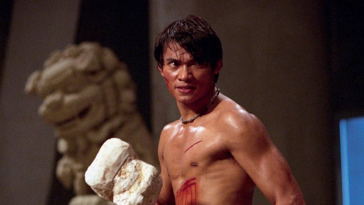 The Fighting Is So Good In This 2005 Martial Arts Movie, It's Hard To ...