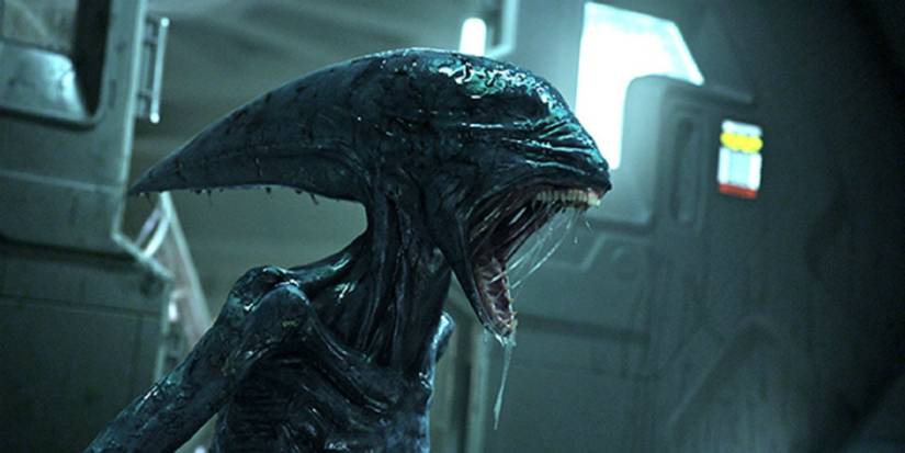 Alien & Predator: What's Next for These Franchises