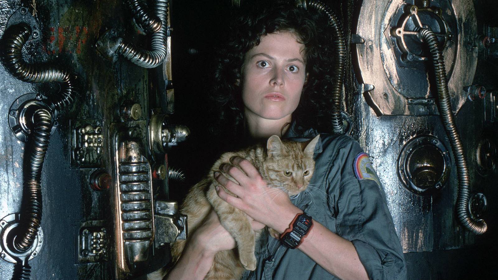 Alien: Earth's Callback To Jonesy The Cat Explained
