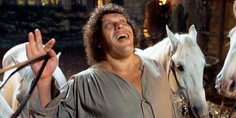 Every Andre The Giant Movie Ranked From Worst To Best