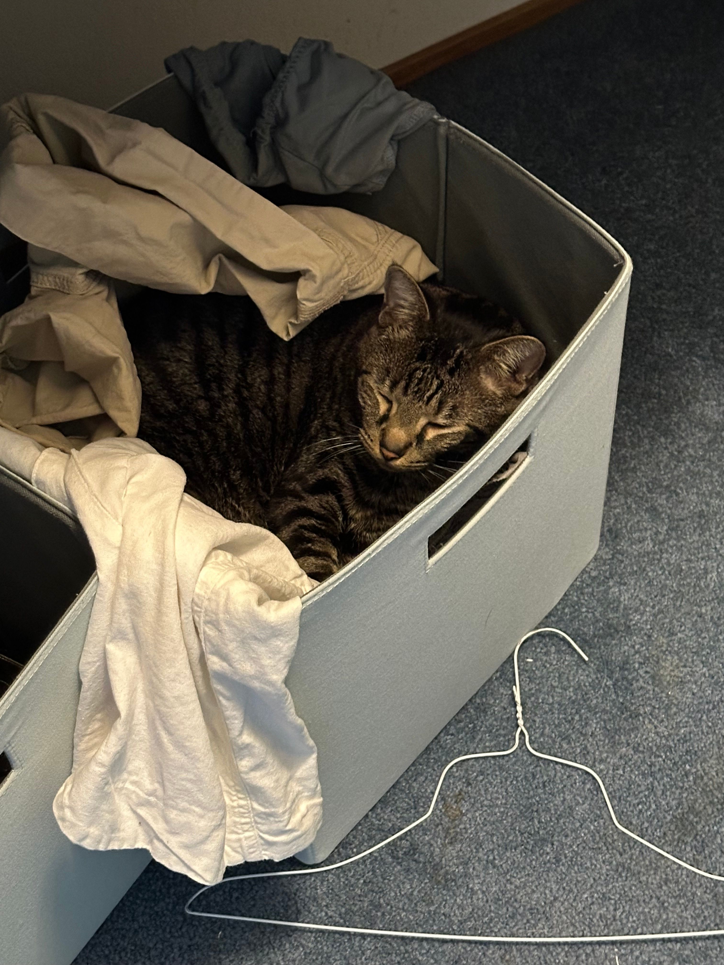 I Can't Imagine The X-Files Without The 30-Year-Old Episode That ...