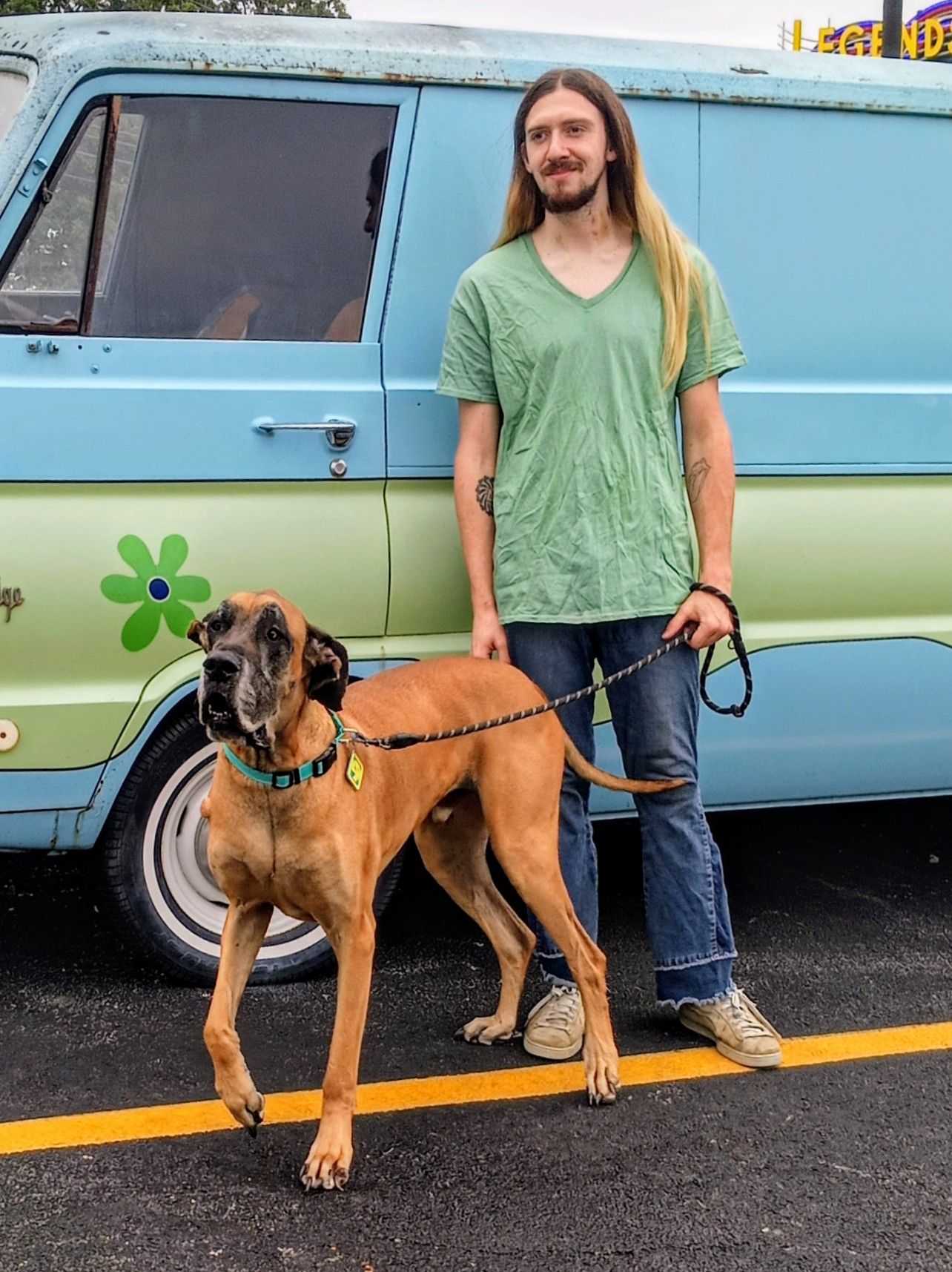Casting Shaggy For Netflix’s Scooby-Doo Live-Action Show: 10 Actors Who ...